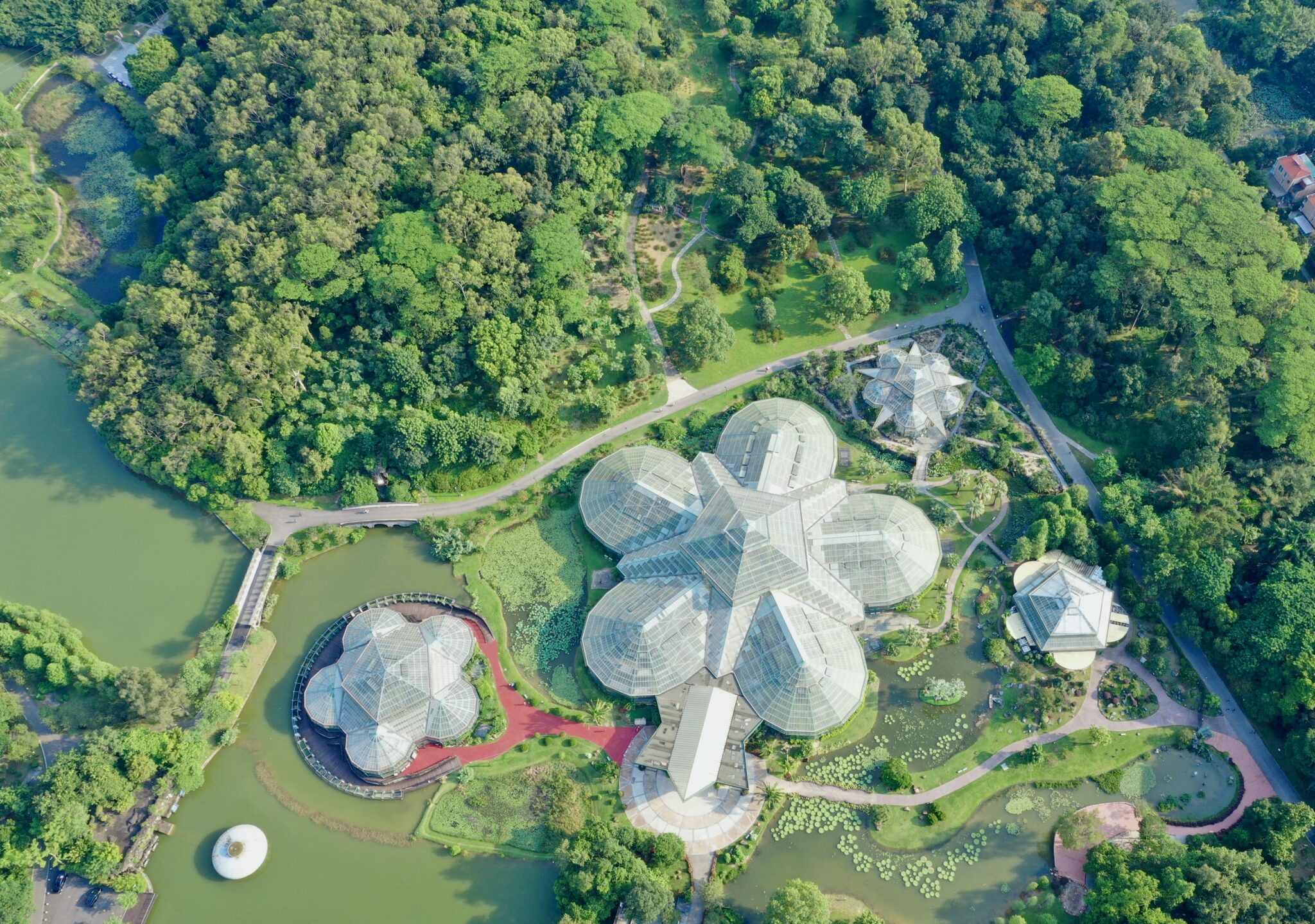 South China Botanical Garden: Expert Visit Secrets Revealed